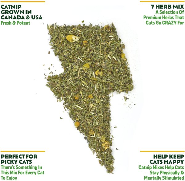 KITTY KA-ZOOM Super Zoomies Mix Catnip, 3.67-oz jar - Chewy.com