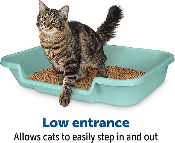 KITTYGOHERE Senior Cat Litter Box, Green, Large - Chewy.com