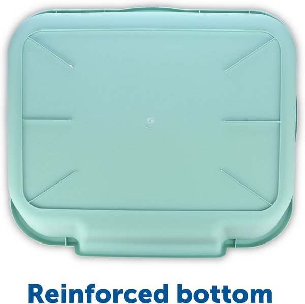 KITTYGOHERE Senior Cat Litter Box, Green, Large - Chewy.com
