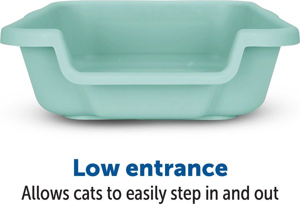 KITTYGOHERE Senior Cat Litter Box, Green, Small - Chewy.com