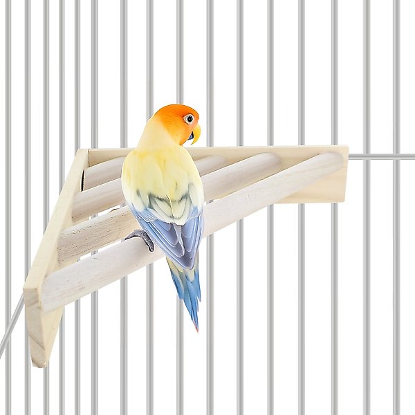 KNUTI Bird Cage Corner Perch Ladder Platform - Chewy.com