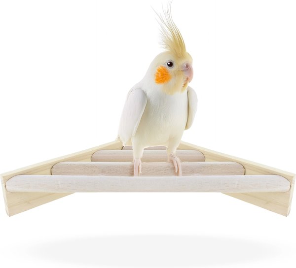 KNUTI Bird Cage Corner Perch Ladder Platform - Chewy.com