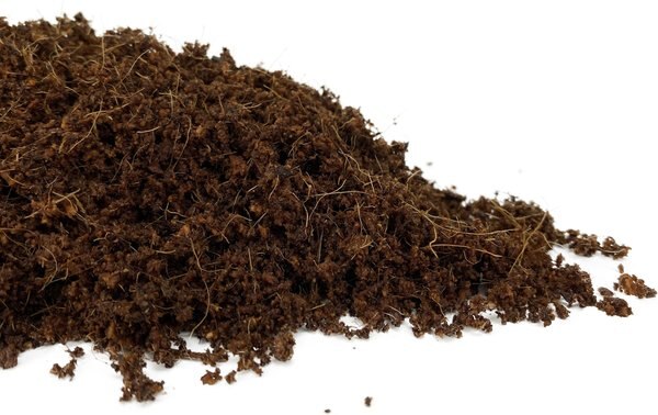 KOMODO Coir Peat Brick Single Reptile Bedding, Brown, 20-gal - Chewy.com