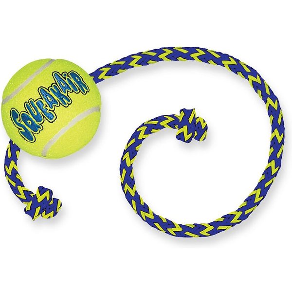 KONG AirDog Squeakair Balls Packs Dog Toy (Free Shipping) | Chewy