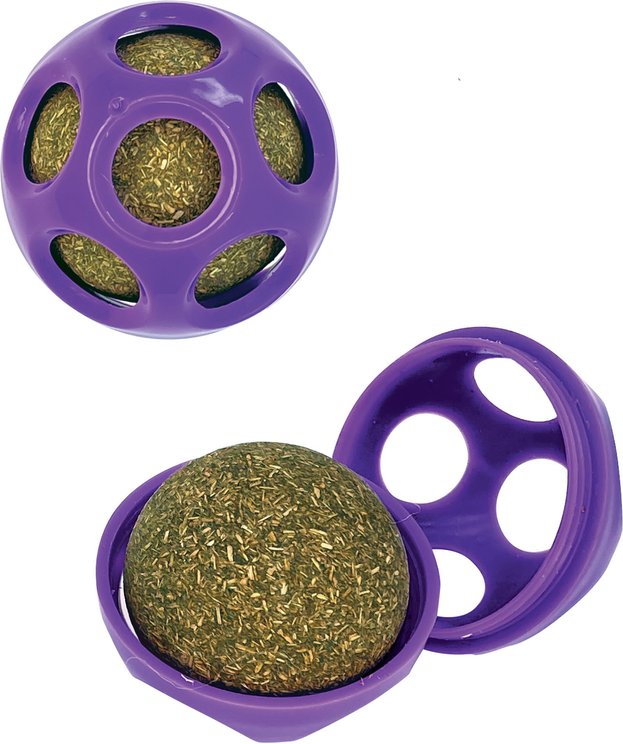 KONG CAT TOYS (Free Shipping) | Chewy