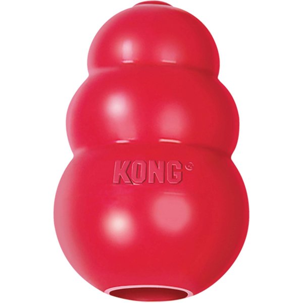 KONG Classic Dog Toy, Small - Chewy.com