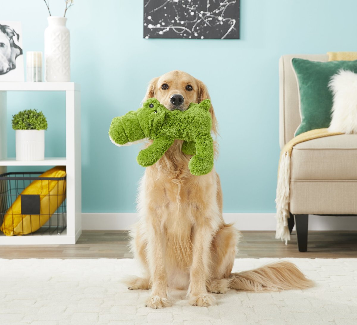 KONG Cozie Ali the Alligator Dog Toy, X-Large - Chewy.com