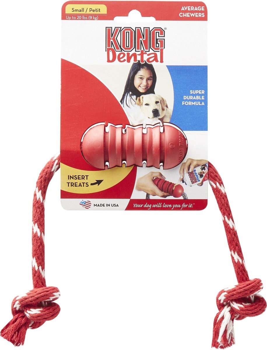 KONG Dental with Rope Dog Toy, Small - Chewy.com
