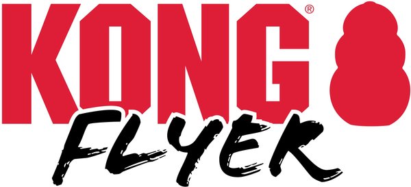 KONG Extreme Flyer Dog Toy - Chewy.com