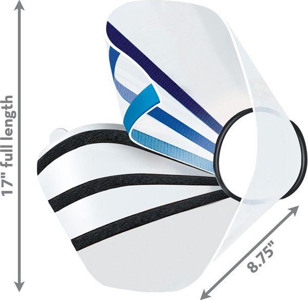 KONG EZ Clear Collar for Dogs & Cats, Medium - Chewy.com