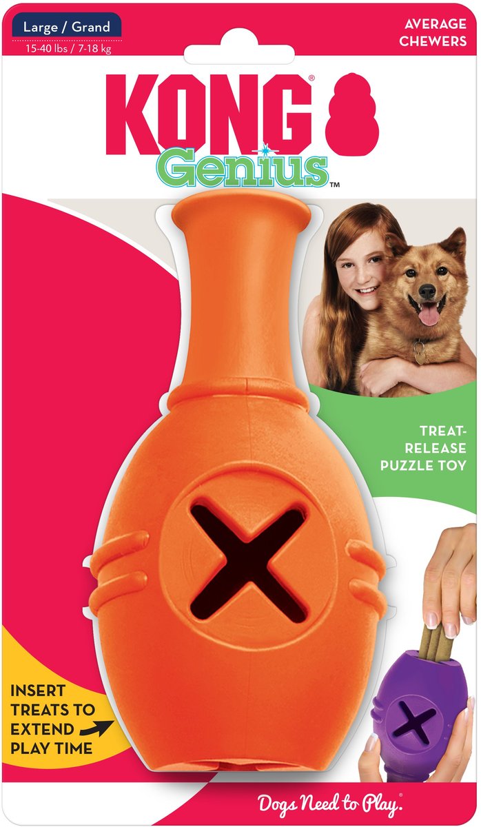 KONG Genius Leo Dog Toy, Color Varies, Large - Chewy.com