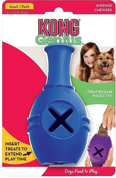 KONG Genius Leo Dog Toy, Color Varies, Small - Chewy.com