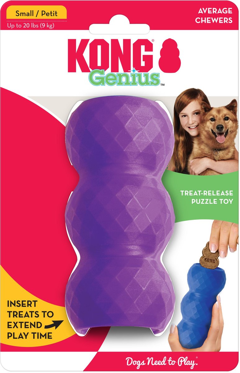 KONG Genius Mike Dog Toy, Color Varies, Small - Chewy.com