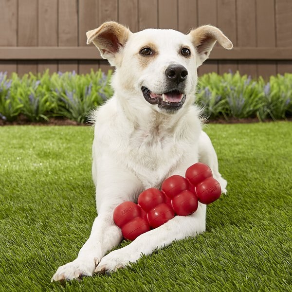KONG Goodie Ribbon Dog Toy, Red, Medium - Chewy.com