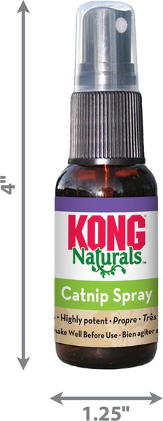 KONG Naturals Catnip Spray - Chewy.com