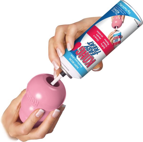 KONG Puppy Chew Dog Toy, Pink, Small - Chewy.com
