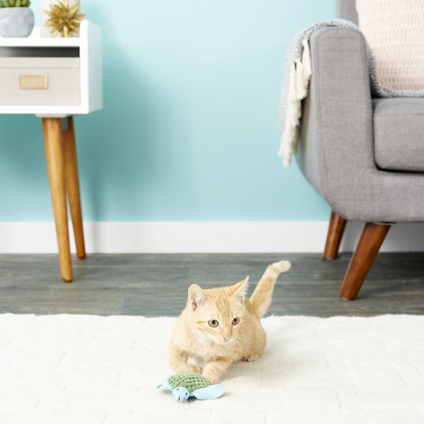 KONG Refillable Turtle Catnip Cat Toy - Chewy.com