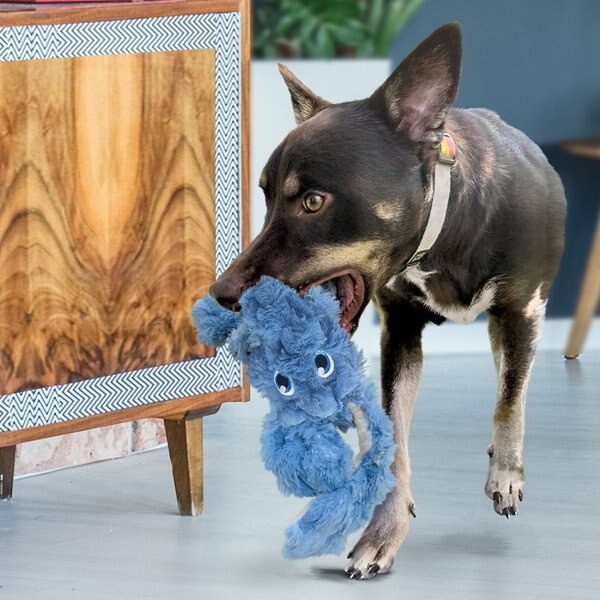 KONG Scrumplez Elephant Dog Toy, Blue, Medium - Chewy.com