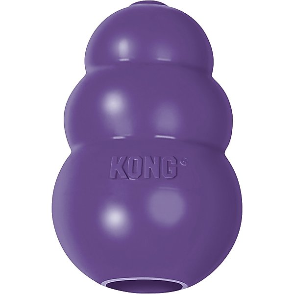 KONG Classic Dog Toy, Small - Chewy.com