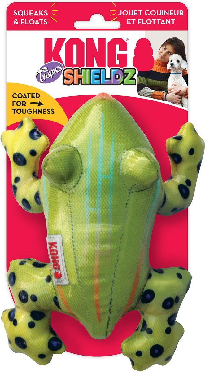 KONG Shieldz Tropics Frog Dog Toy - Chewy.com