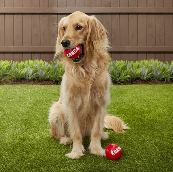 KONG Signature Balls Dog Toy, 2-pack, Red, Large - Chewy.com