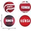 KONG Signature Balls Dog Toy, 4 count, Small - Chewy.com