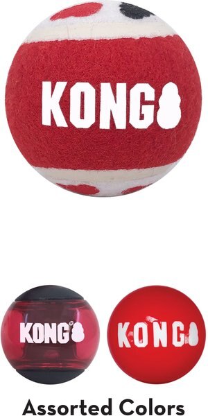 KONG Signature Balls Dog Toy, Large, 3 count - Chewy.com