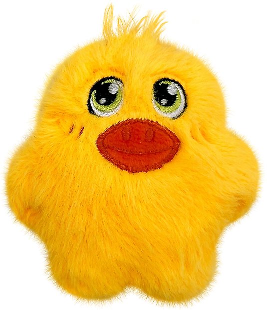 Duck Dog Toy (Free Shipping) | Chewy