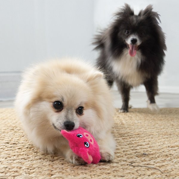 KONG Snuzzles Mini Pig Squeaky Dog Plush Toy, Pink, X-Small - Chewy.com