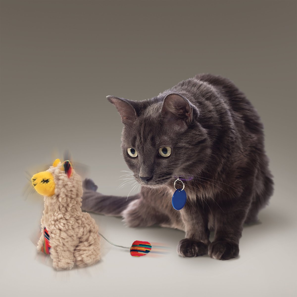 KONG Softies Buzzy Llama Cat Toy - Chewy.com