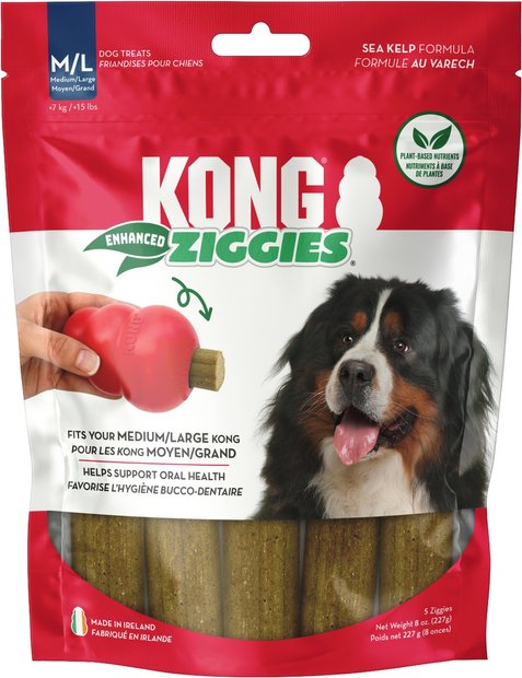 KONG Treats & Treat Toys - Free shipping | Chewy