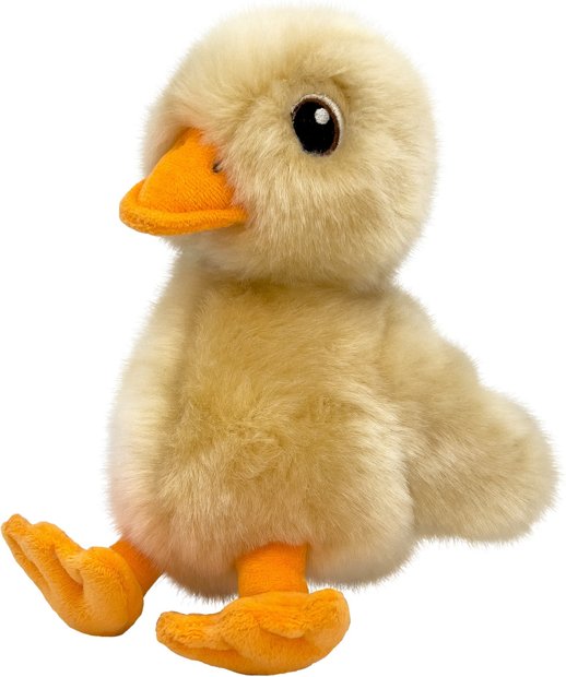 Duck Dog Toy (Free Shipping) | Chewy