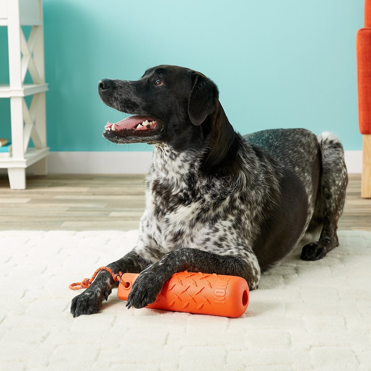 KONG Training Dummy for Dogs, X-Large - Chewy.com