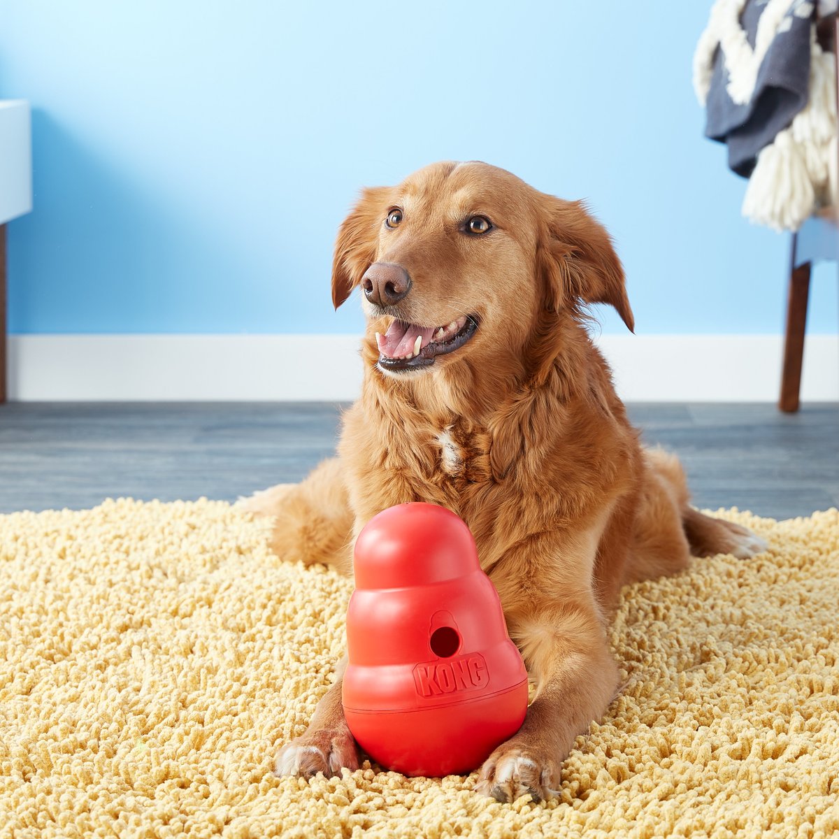 KONG Wobbler Dog Toy, Large - Chewy.com