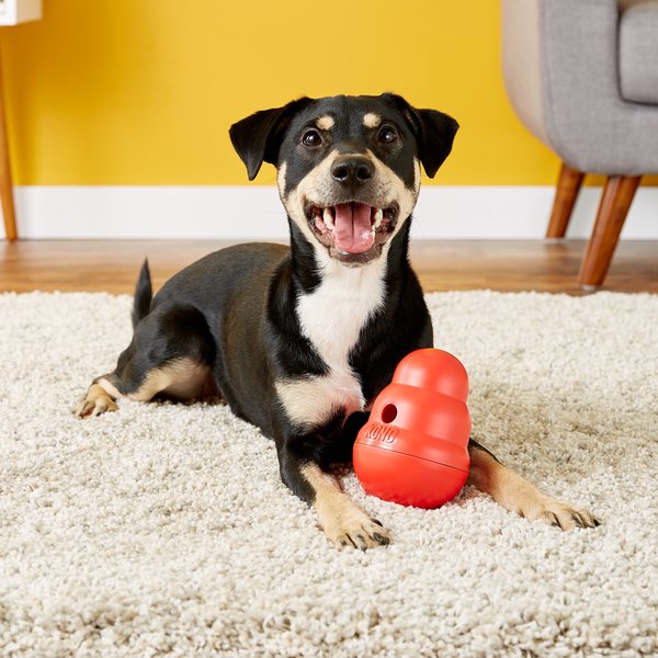 KONG Wobbler Dog Toy, Small - Chewy.com