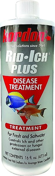 KORDON Rid-Ich Plus Disease Aquarium Treatment, 16-fl oz bottle - Chewy.com