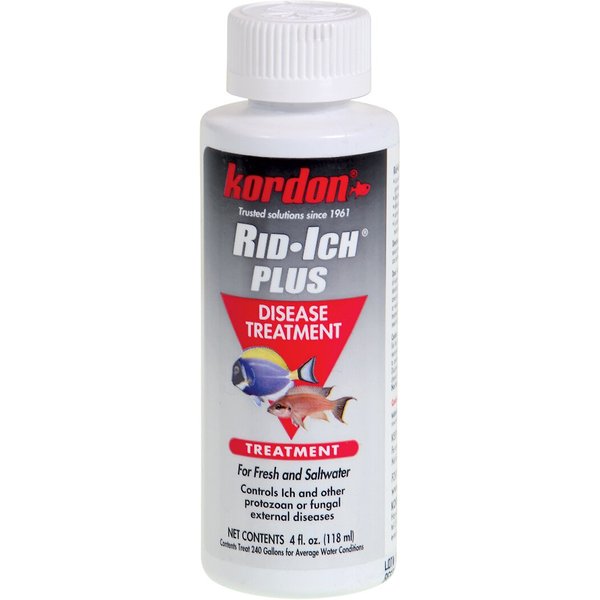 KORDON Rid-Ich Plus Disease Aquarium Treatment, 4-fl oz bottle - Chewy.com