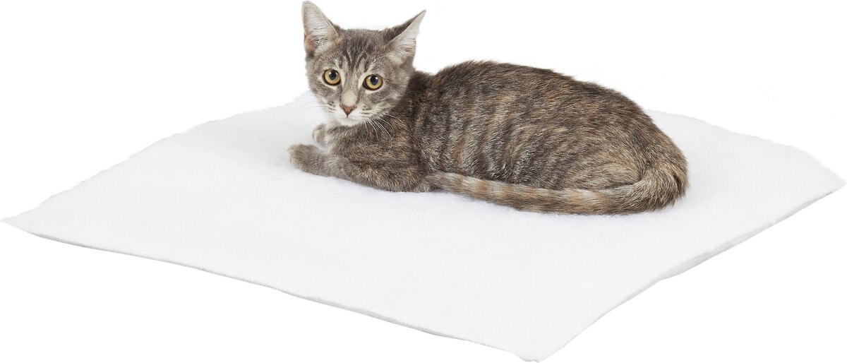 K.T. MANUFACTURING Purr Padd Cat Bed Mat, White, 2 count - Chewy.com