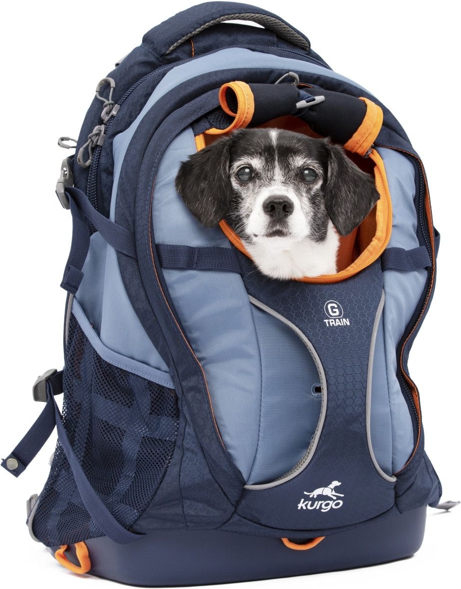 KURGO G-Train Dog Carrier Backpack, Navy Blue - Chewy.com