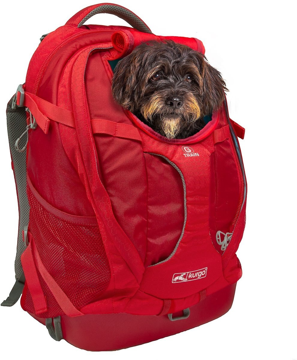 KURGO G-Train Dog Carrier Backpack, Red - Chewy.com