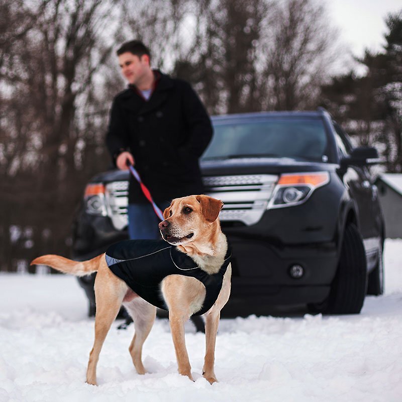 KURGO North Country Dog Coat, Black, Large - Chewy.com