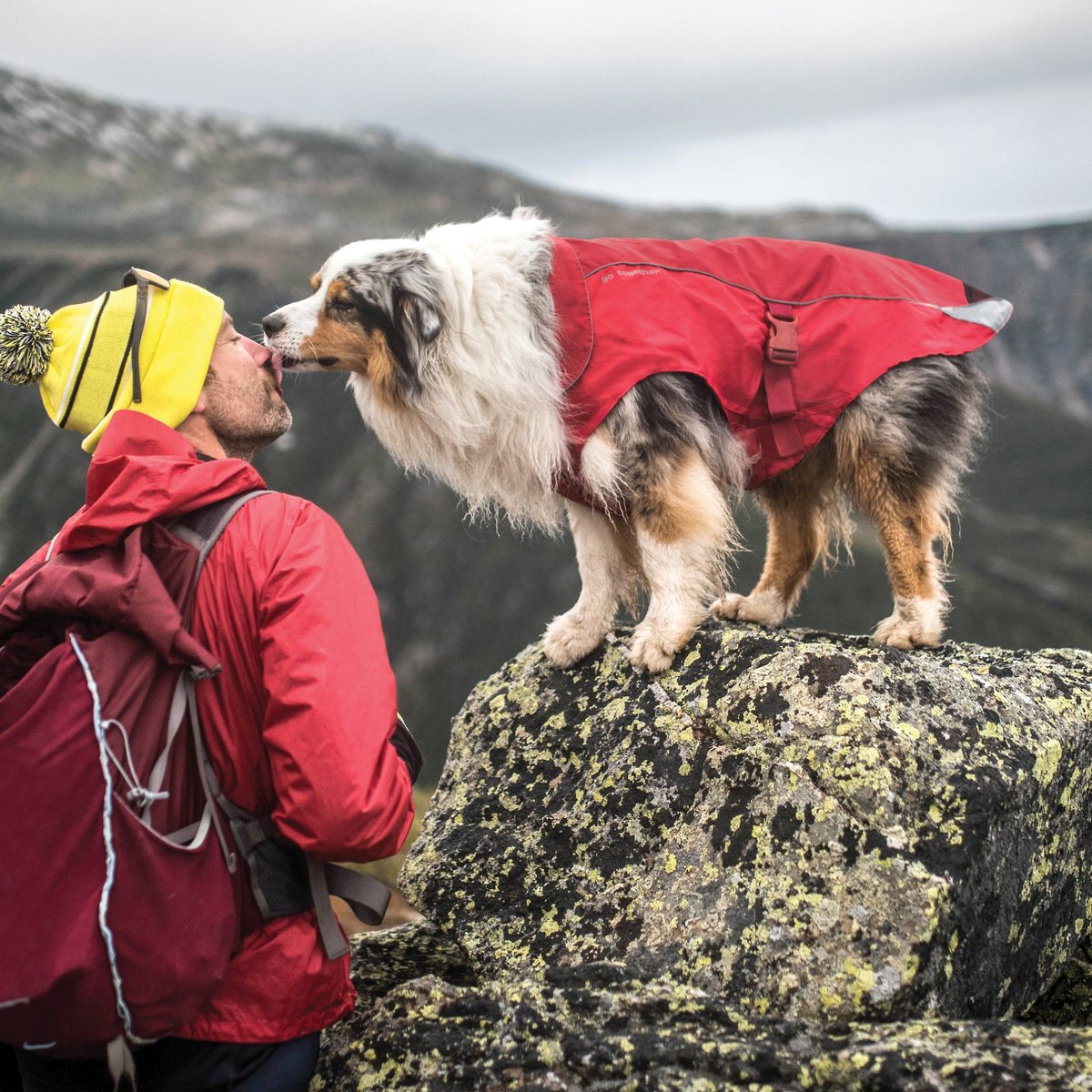 KURGO North Country Dog Coat, Red, Large - Chewy.com