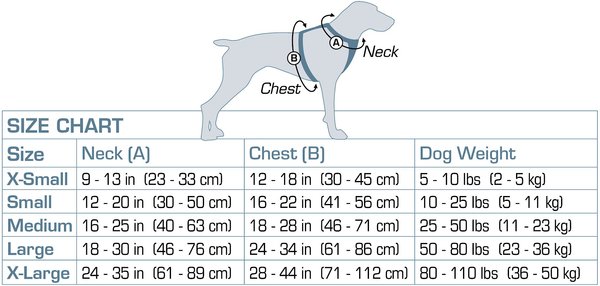 KURGO Stash n’ Dash Dog Harness, Black, Medium - Chewy.com