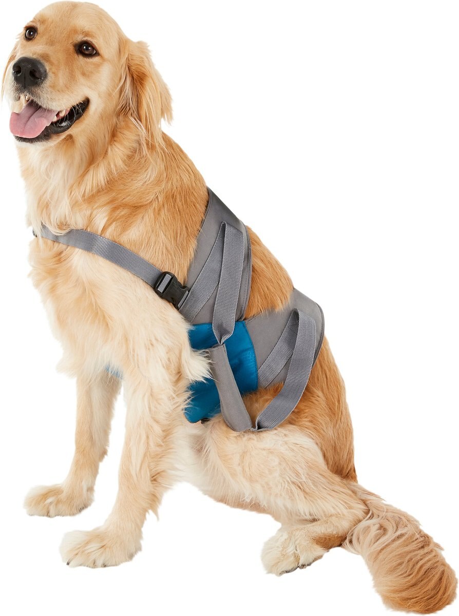 KURGO Up & About Lifter Handicapped Support Dog Harness - Chewy.com