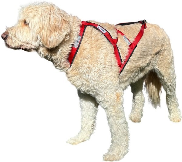 LABRA Canine Bike & Skijoring Canicross Pulling Reflective Dog Harness ...