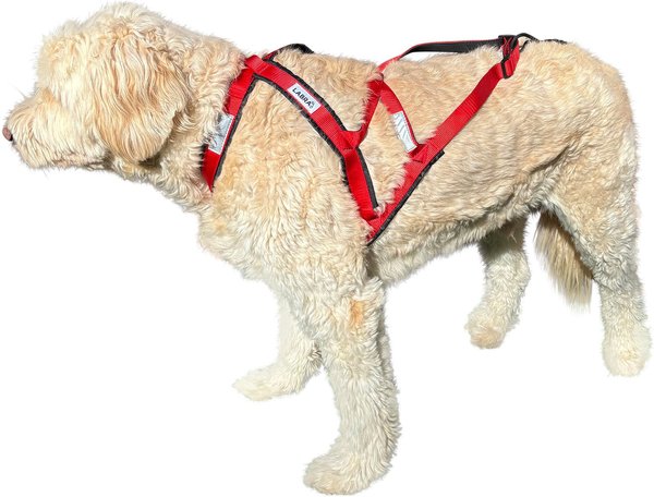 LABRA Canine Bike & Skijoring Canicross Pulling Reflective Dog Harness ...