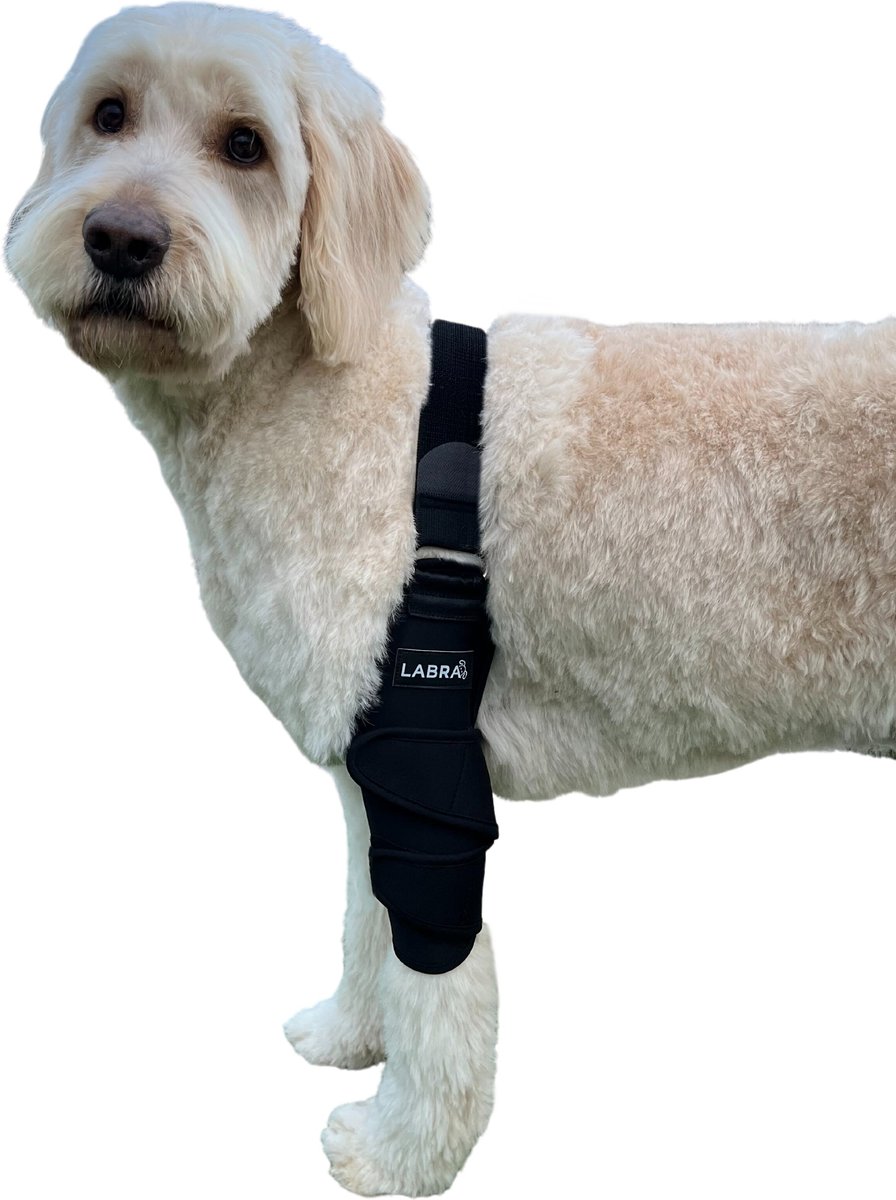 LABRA Canine Shoulder Elbow Brace Right Leg Dog Wrap, Small - Chewy.com