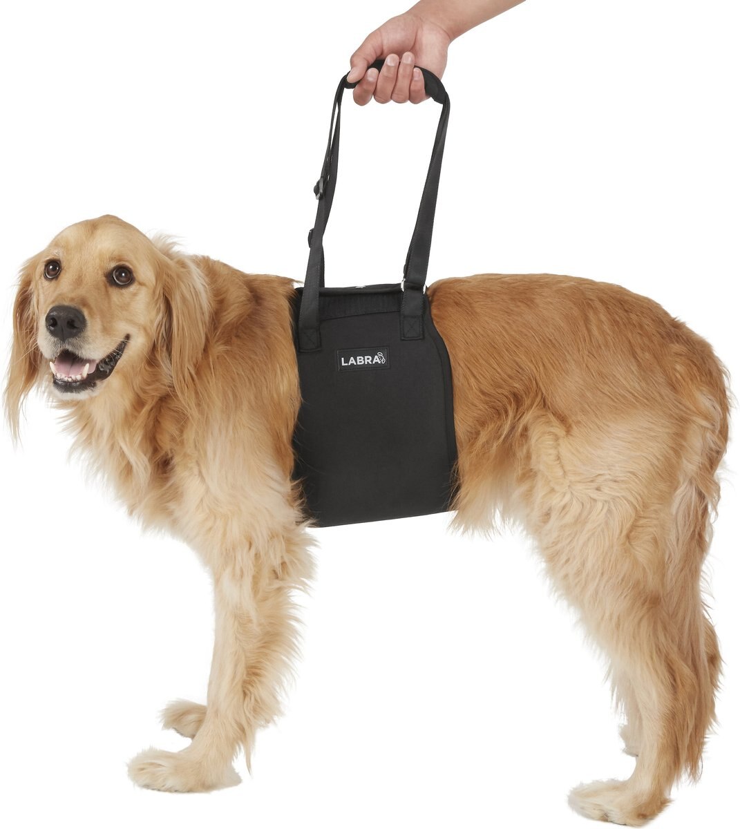LABRA Dog Support Sling, Large - Chewy.com