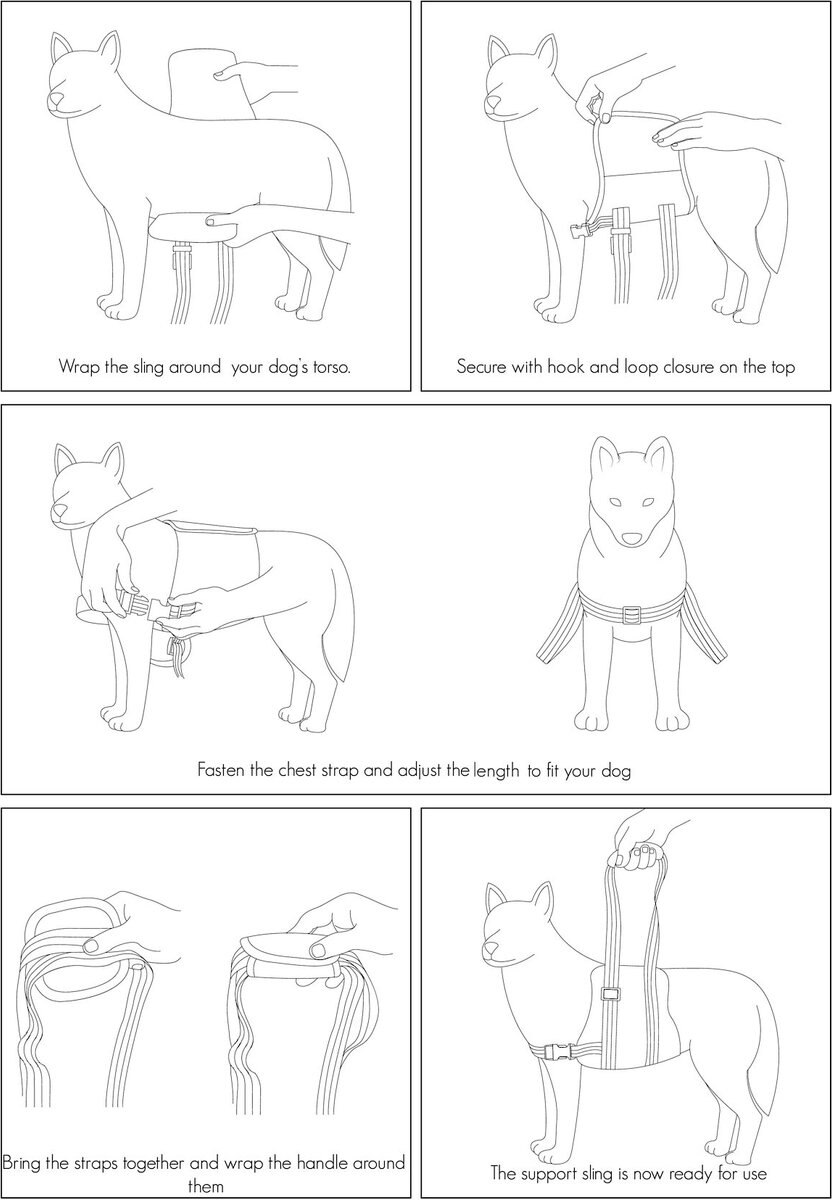 LABRA Dog Support Sling with Chest Strap, Large - Chewy.com