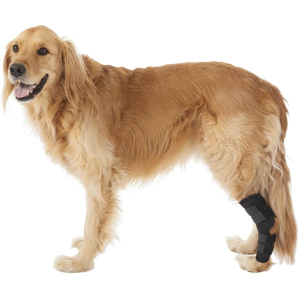 NEOALLY 3-in-1 Front Leg Dog Splint Braces, XX-Small/X-Small - Chewy.com